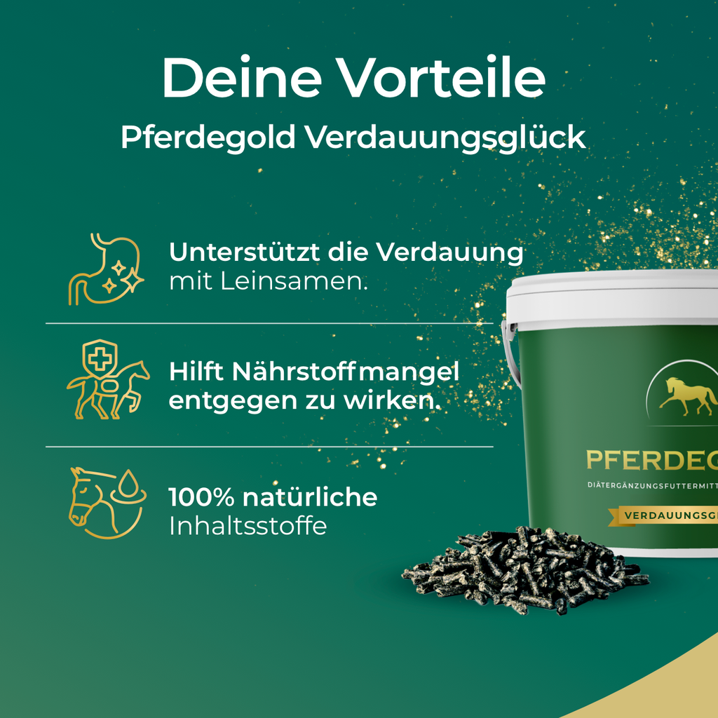 Natürliches Zusatzfutter für die Weidezeit 🐴 | Pferdegold®